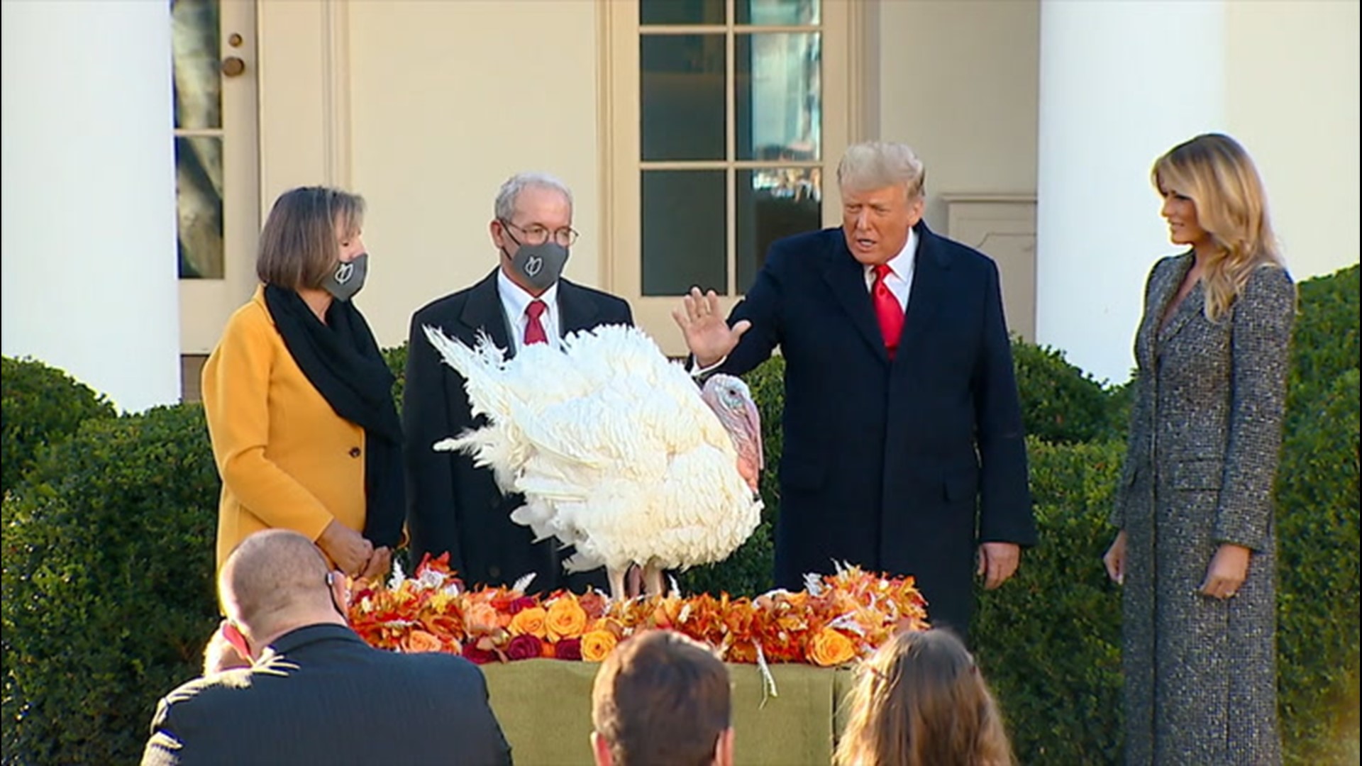 President Trump pardons Corn the turkey | 12newsnow.com