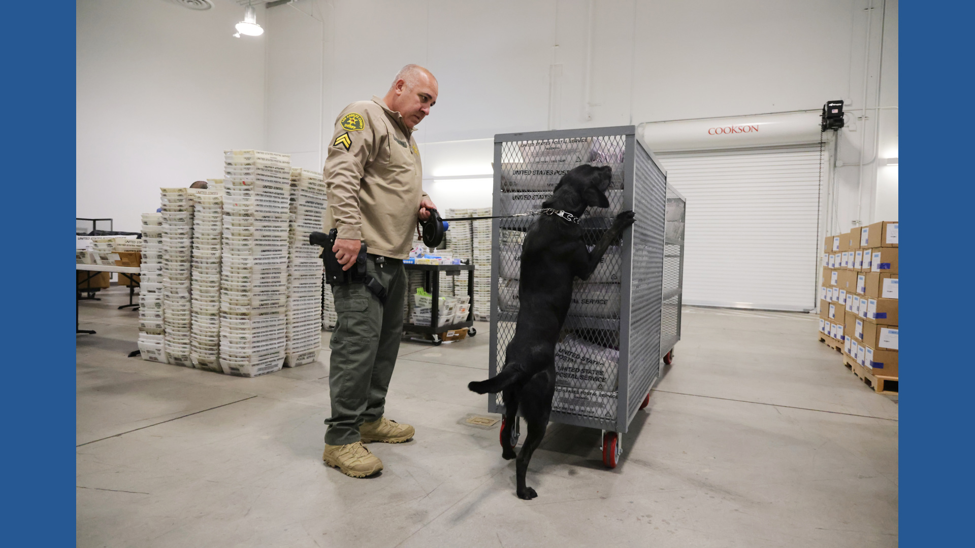 Big changes to the agency charged with securing elections lead to midterm worries | 12newsnow.com