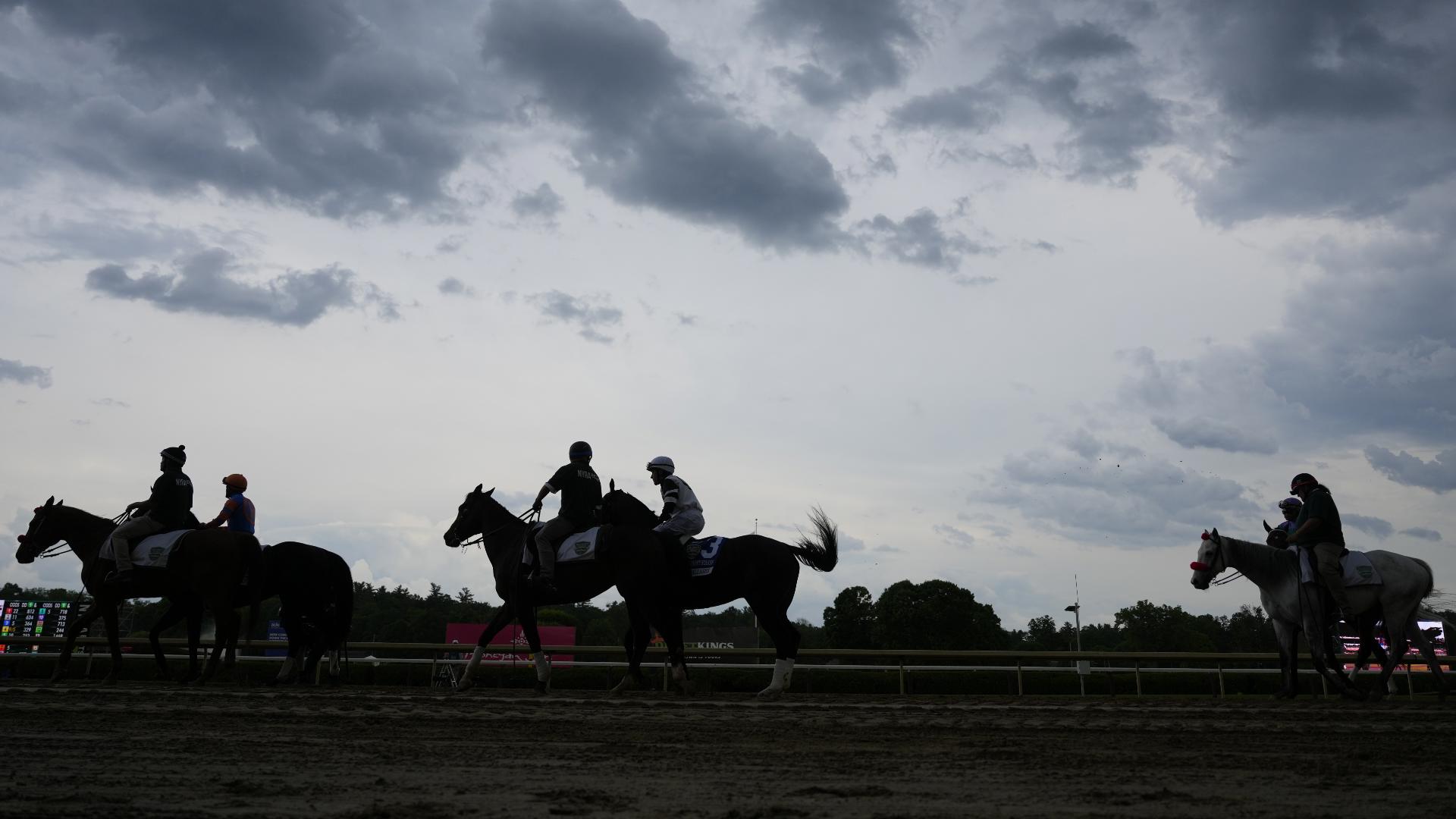 17 racehorses die in Saratoga Springs barn fire | 12newsnow.com