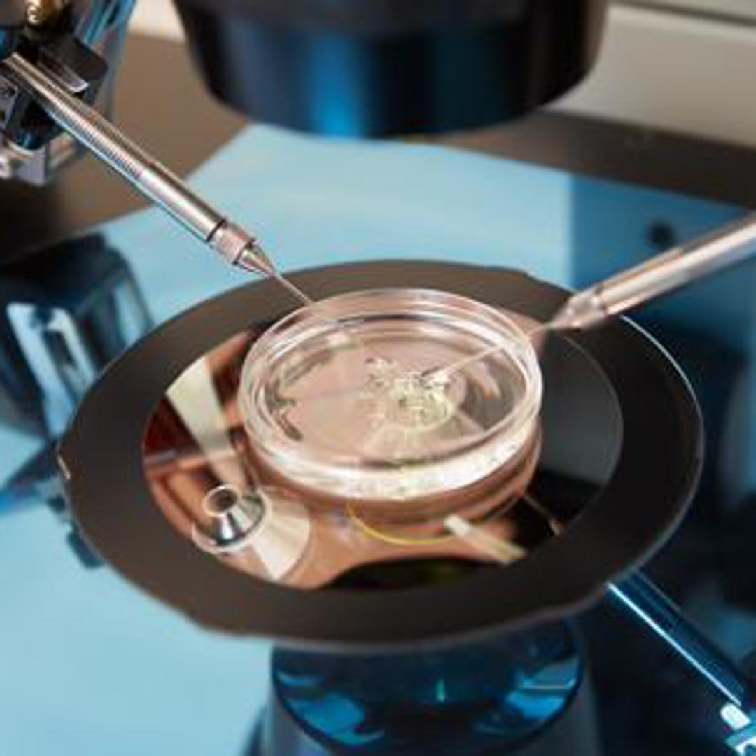 Florida couple will keep custody of child after IVF mix-up | 12newsnow.com