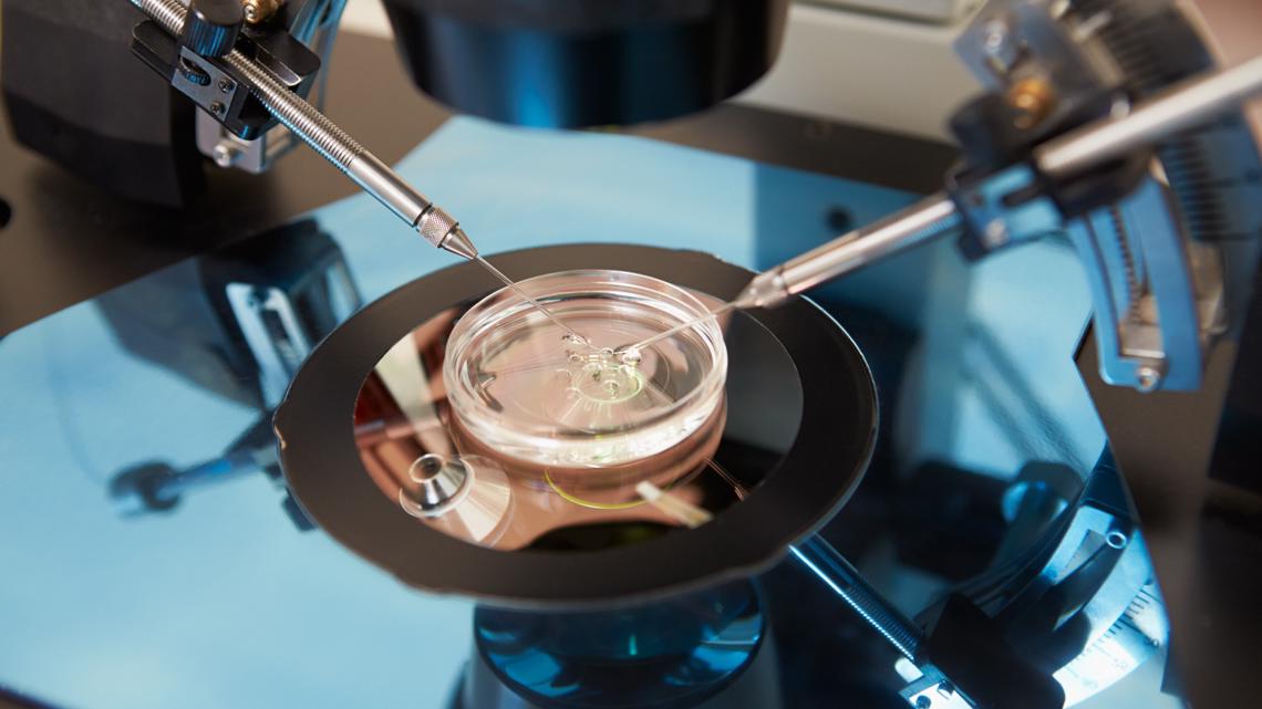 Florida couple will keep custody of child after IVF mix-up | 12newsnow.com