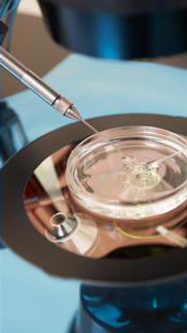 Florida couple will keep custody of child after IVF mix-up | 12newsnow.com
