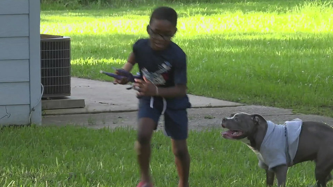 6-year-old boy attacked by neighbor's pit bulls | 12newsnow.com