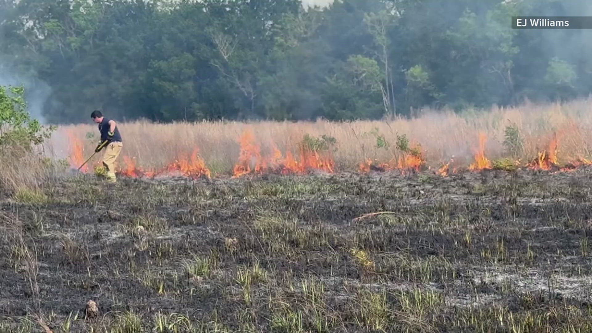 Orange fire crews battle fast-moving blaze fueled by high winds ...