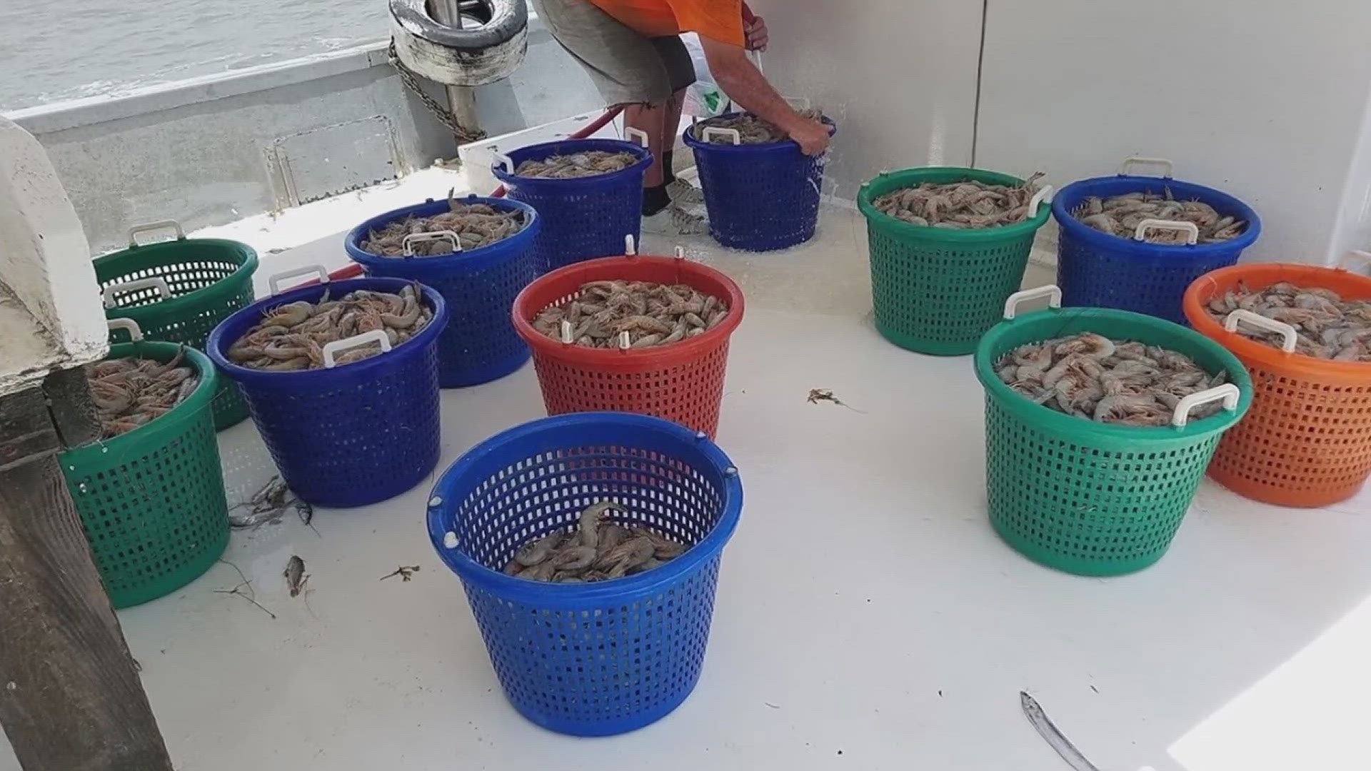 Fishermen celebrate win in shrimp import battle | 12newsnow.com