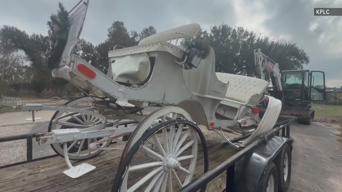 Lake Charles woman cited after crashing into a horse carriage, then ...