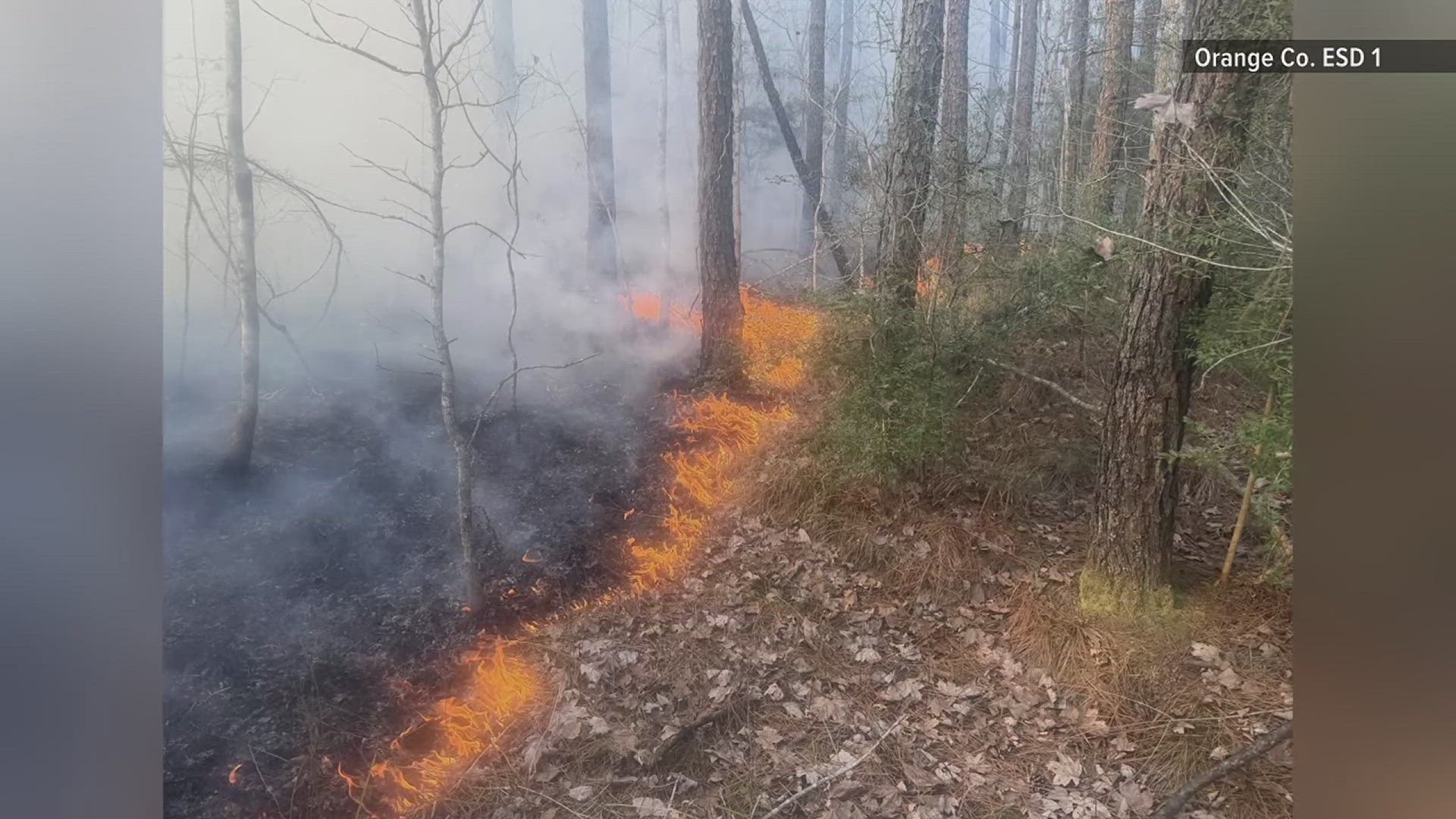 Rockstar Games may have let a terminally ill fan test GTA VI before ...