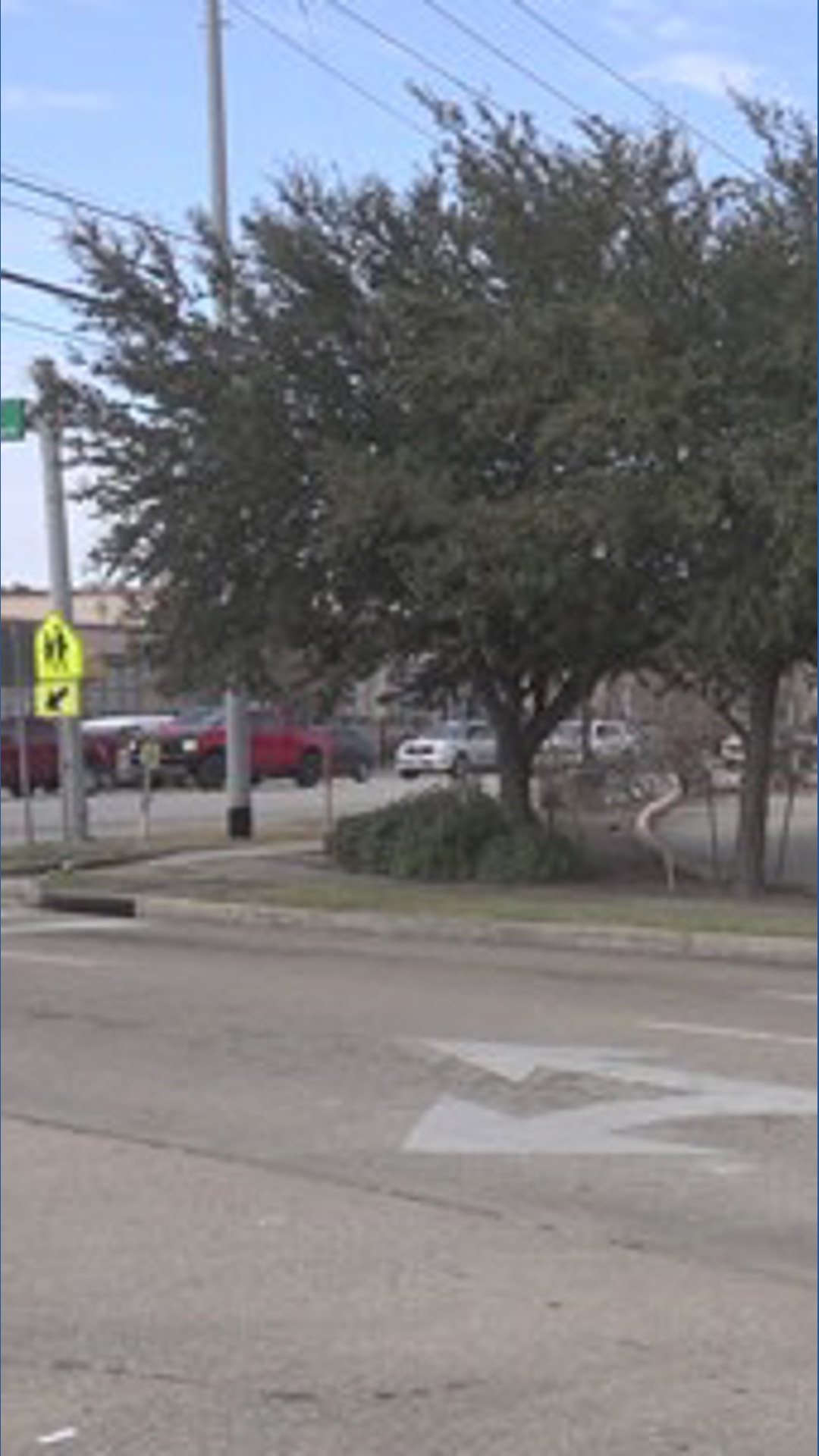 Riceland Healthcare preparing to open new cancer center in Beaumont ...