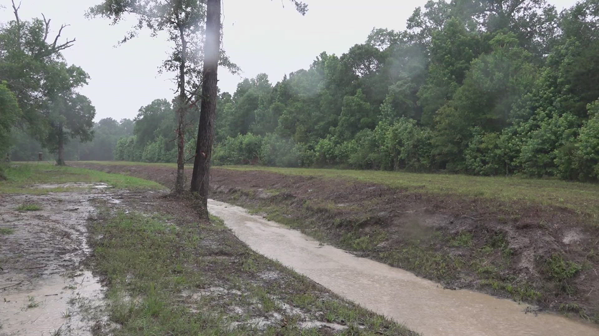 Orange County tackles flooding with new detention pond | 12newsnow.com