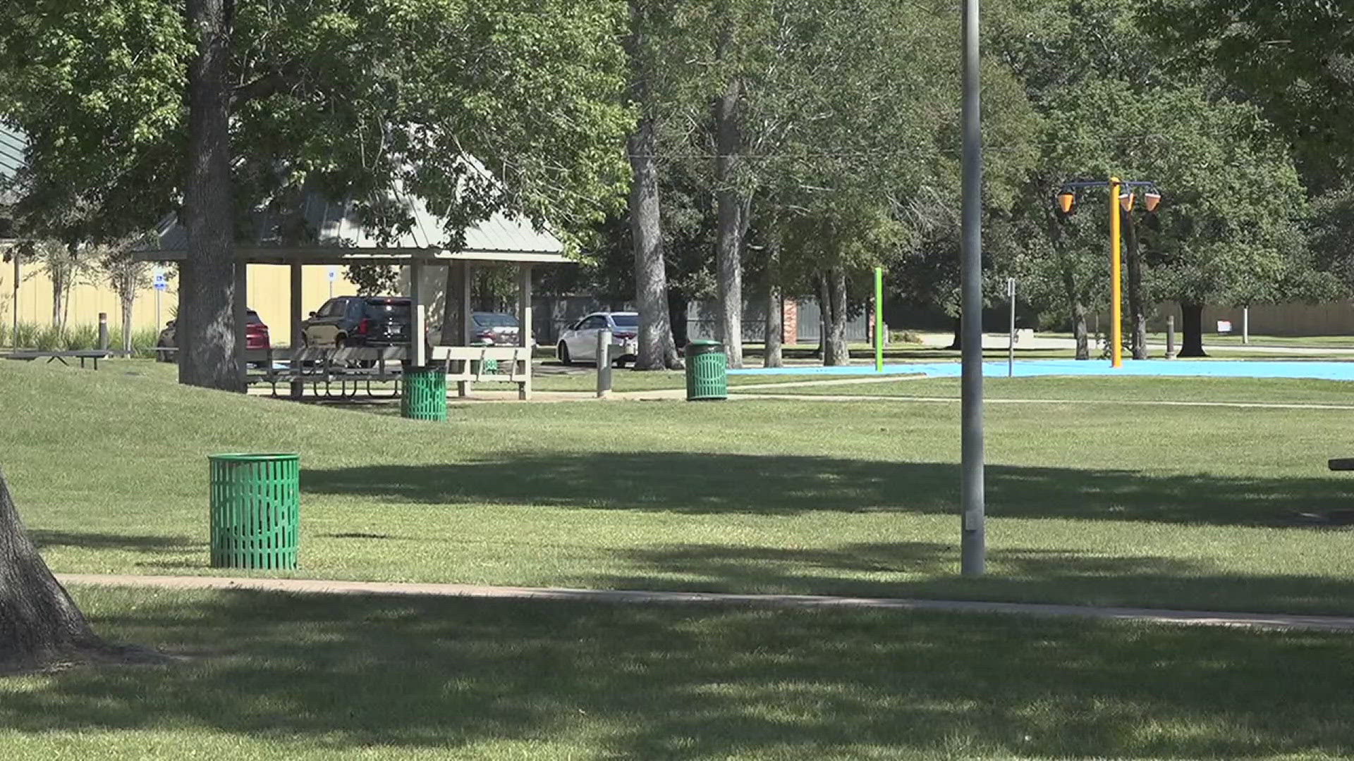 'No Kings Day' protest planned in Rogers Park | 12newsnow.com