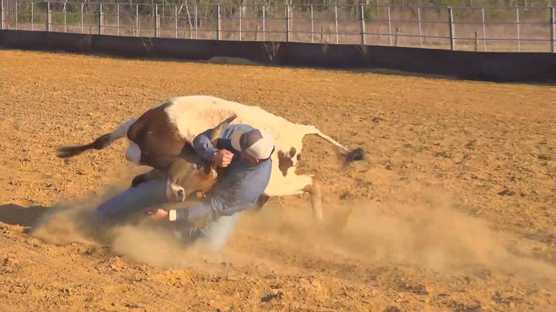 Silsbee cowboy taking the bull by the horns this weekend in his Houston ...