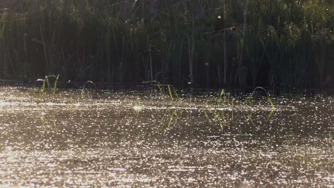 'Screen door Jesus' drew hundreds to Port Neches in 1969 | 12newsnow.com
