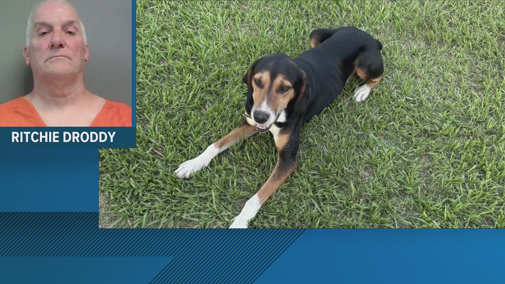 Jasper man arrested for fatally shooting dog | 12newsnow.com