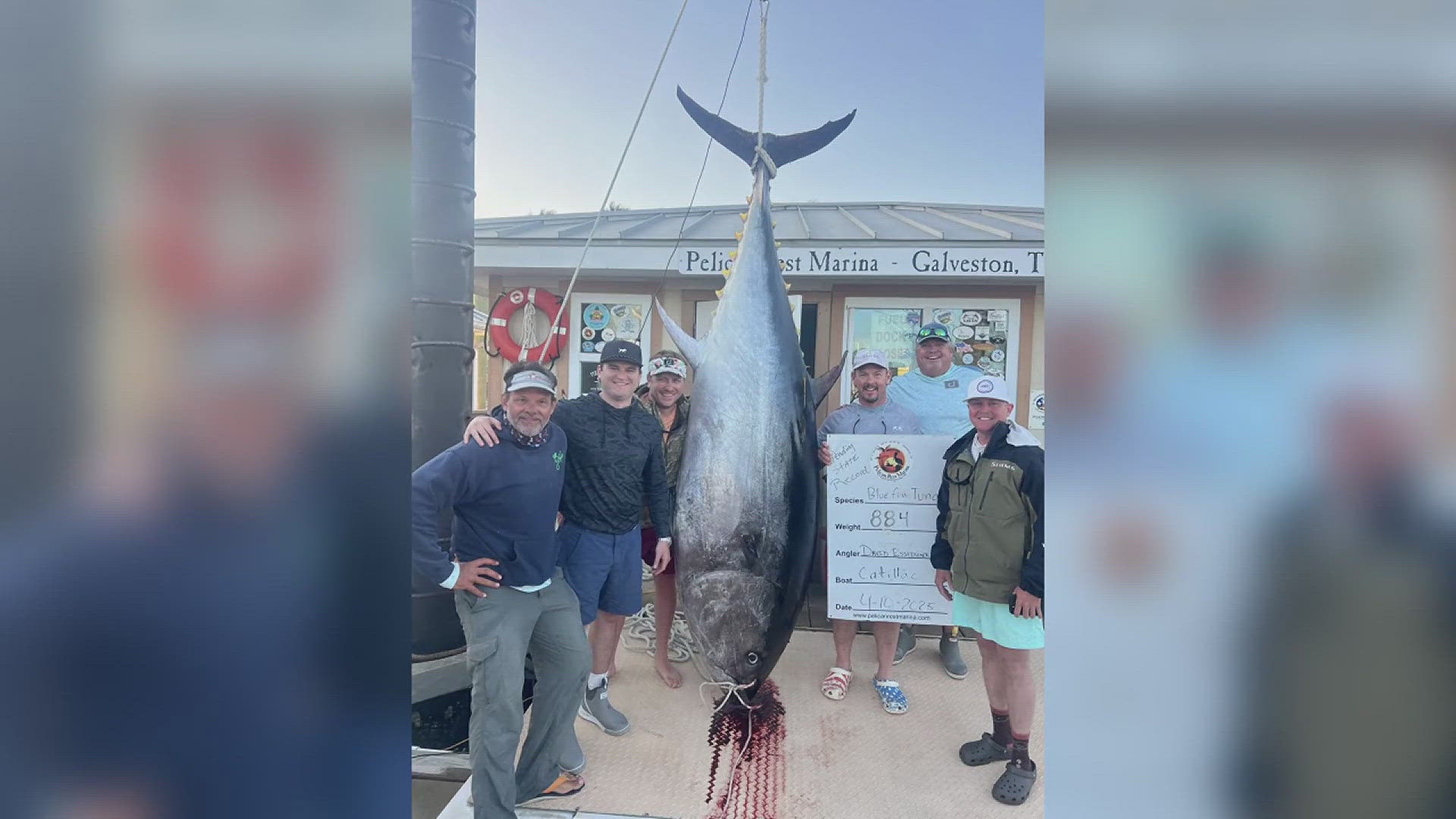 Port Arthur man hauls in record breaking 884 pound Bluefin Tuna ...