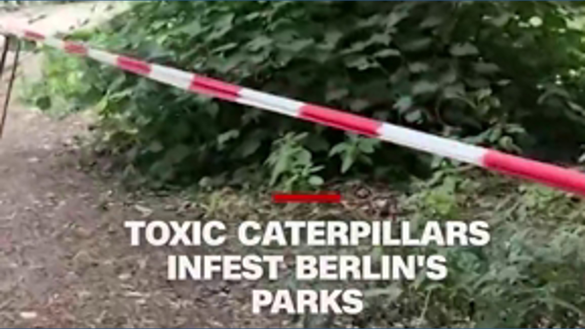 Toxic caterpillars infest Berlin's parks | 12newsnow.com