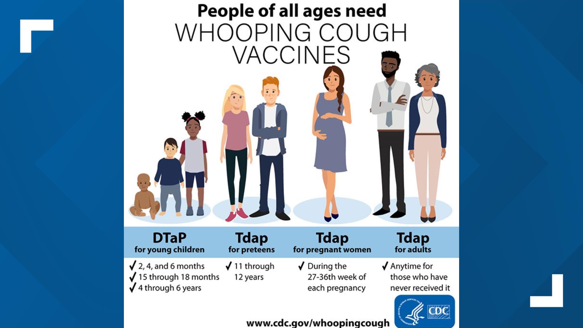 Pertussis confirmed in Orange County | 12newsnow.com