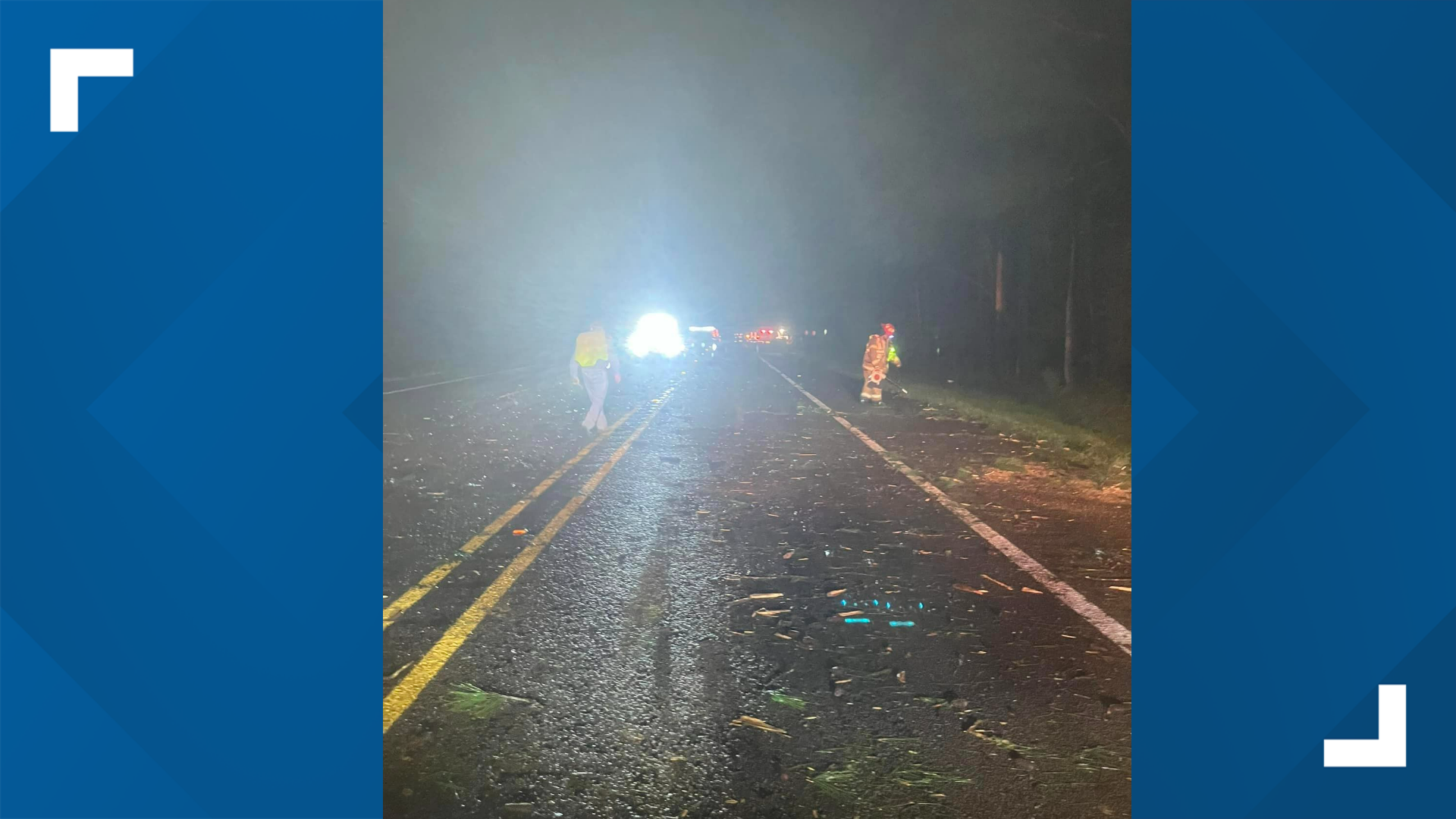 Fallen pine tree accident Highway 190 | 12newsnow.com