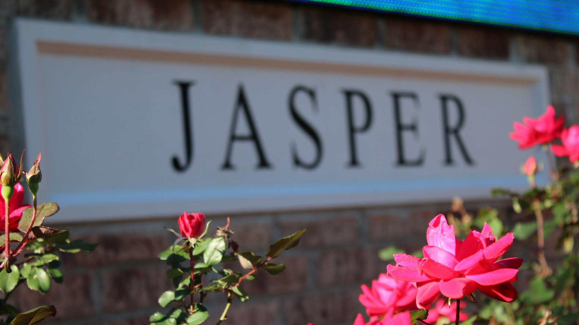 Jasper set to launch new public transit service next month | 12newsnow.com