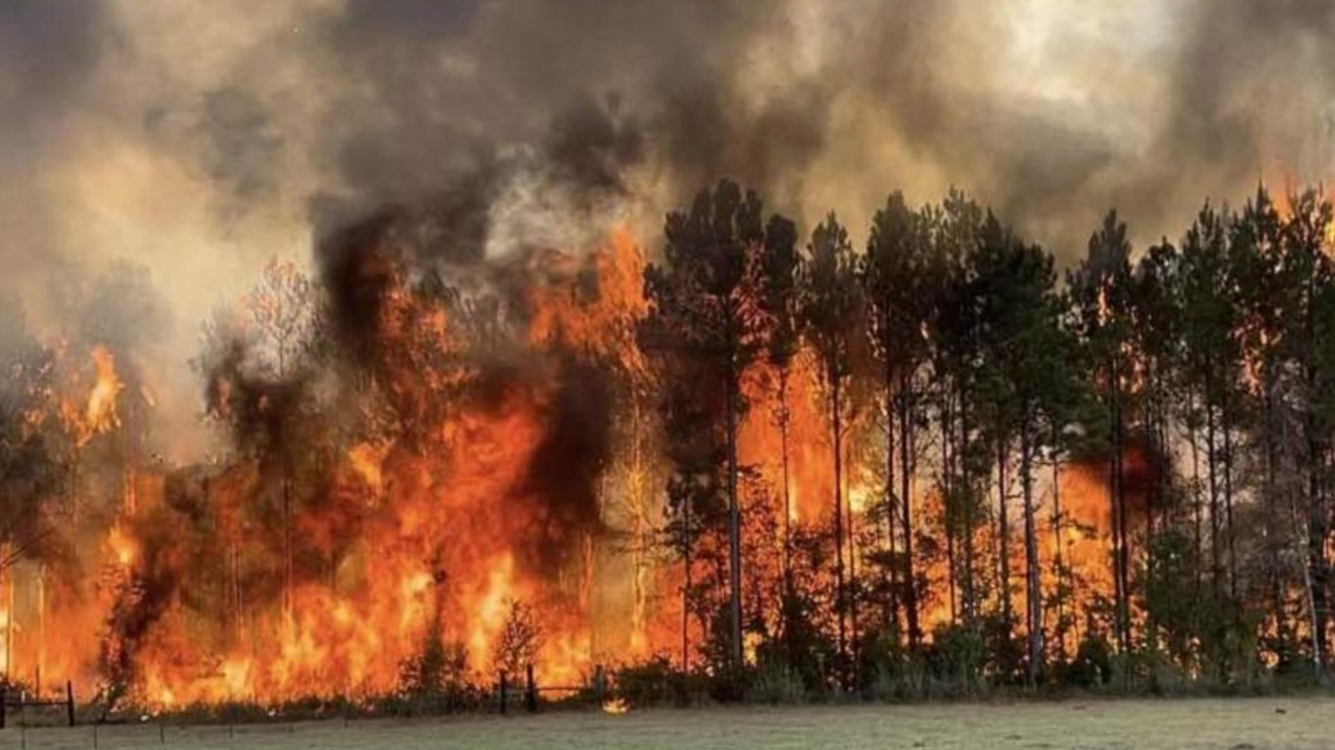 Texas A&M grants bolster some Southeast Texas fire departments ...