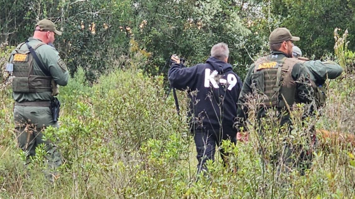 Jefferson County sheriff holds tactical tracking, K9 training ...