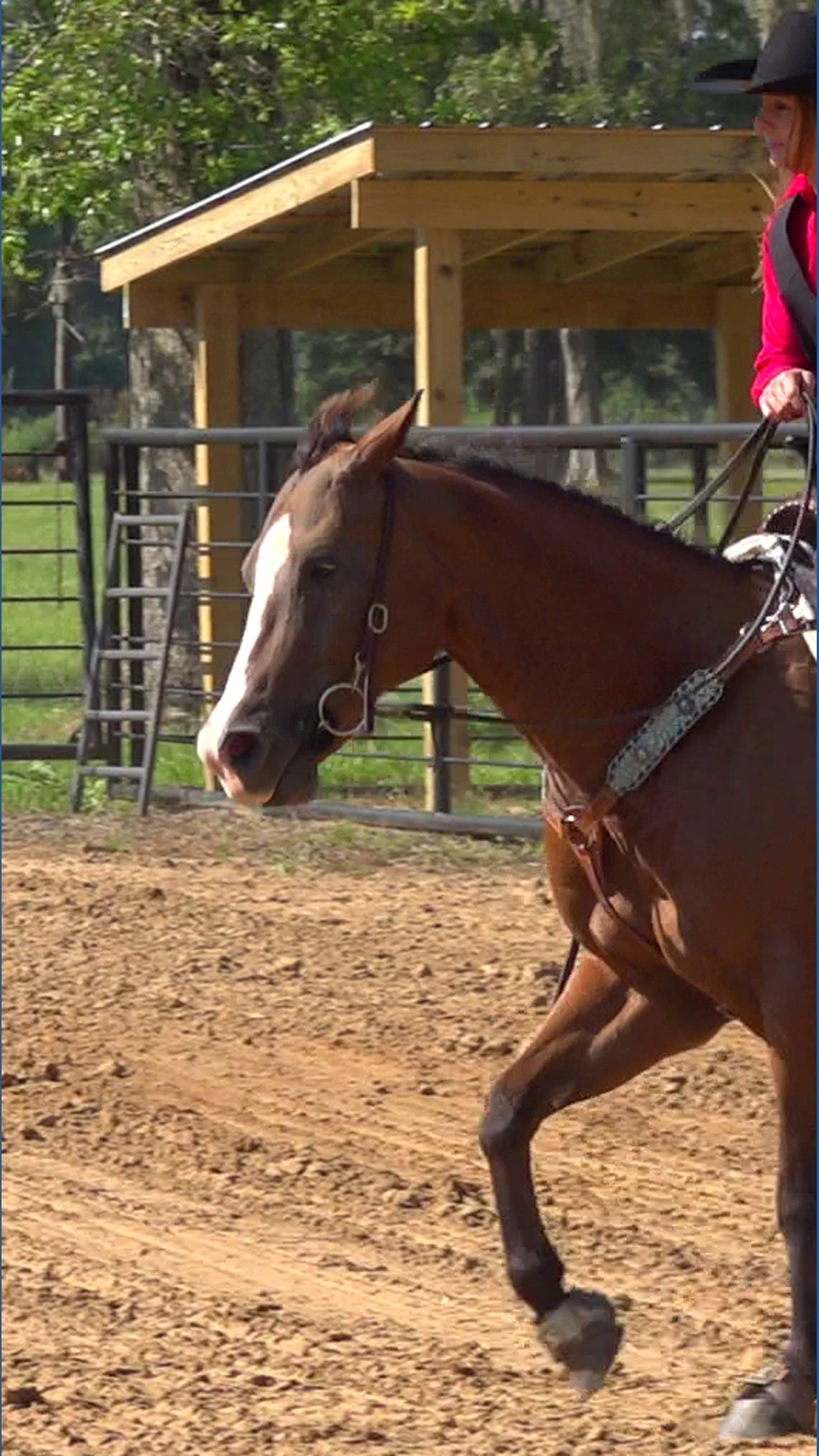 Lamar University debuts first rodeo team at Panola College | 12newsnow.com