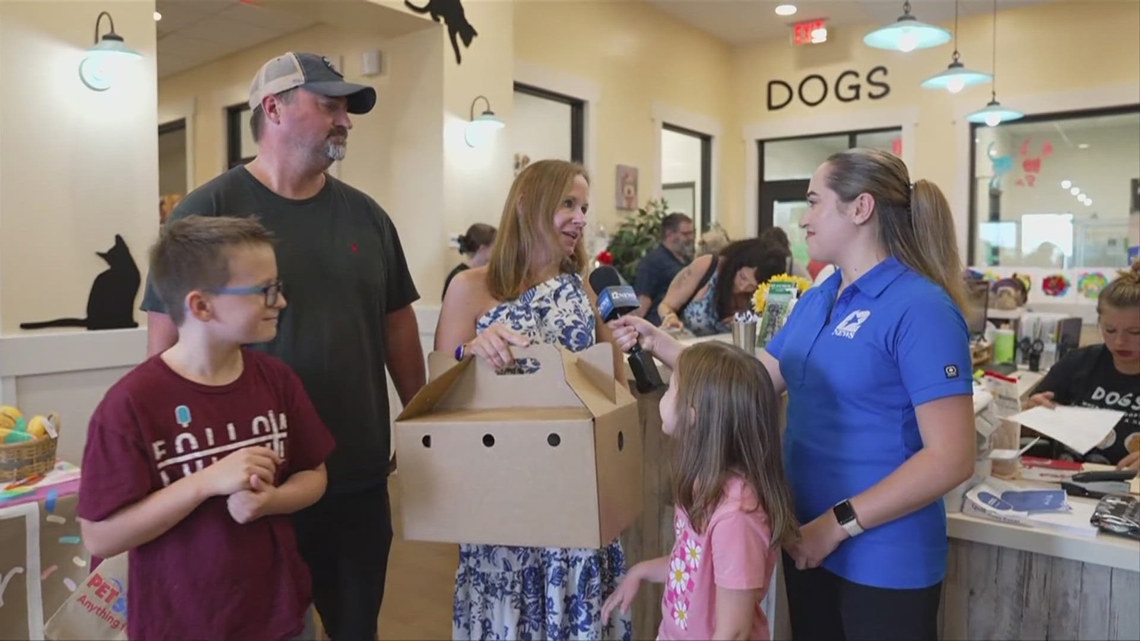 28 total animals adopted at Humane Society of Southeast Texas 'Clear ...