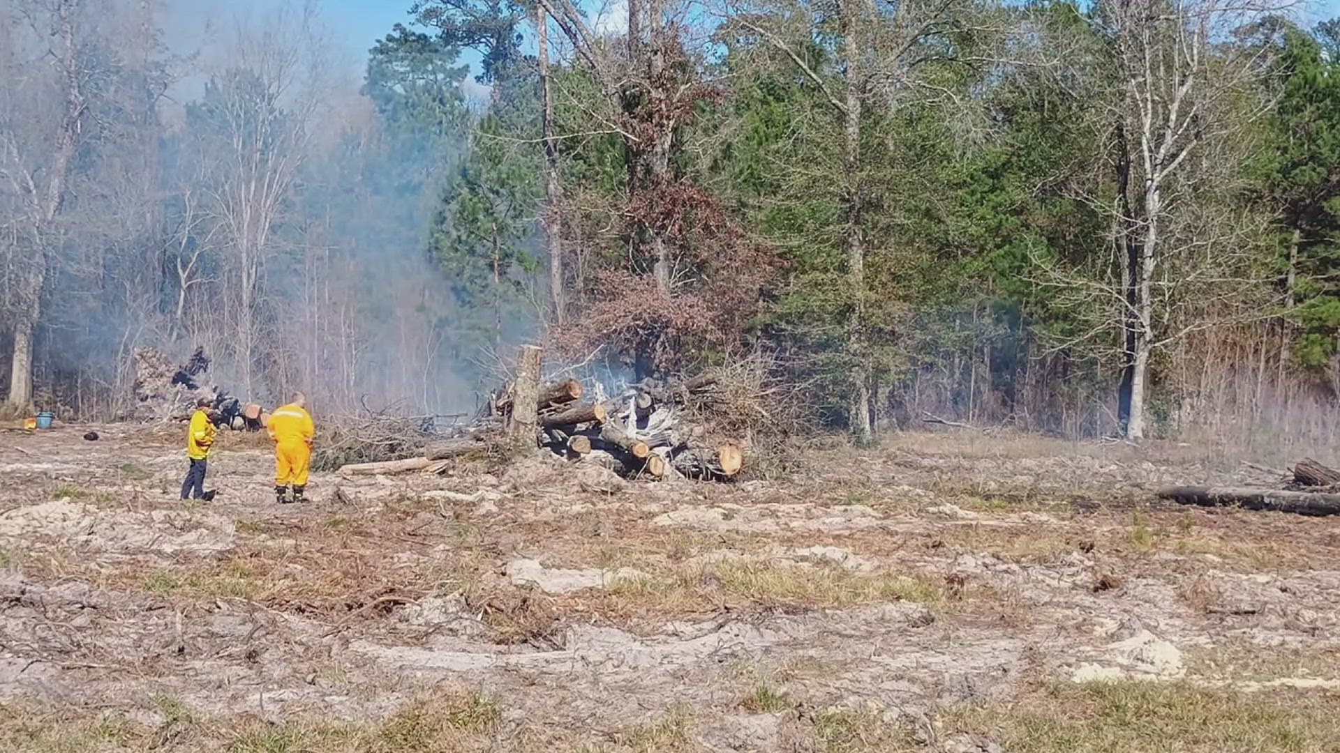 6-acre woods fire contained in Newton County | 12newsnow.com
