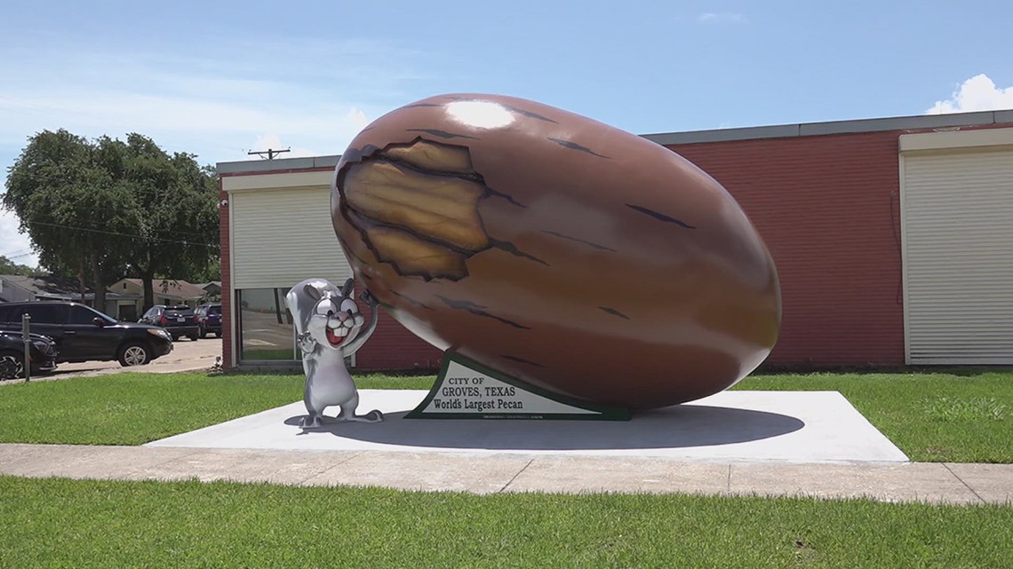 Groves unveils 17-Foot pecan statue, seeks Guinness World Record ...