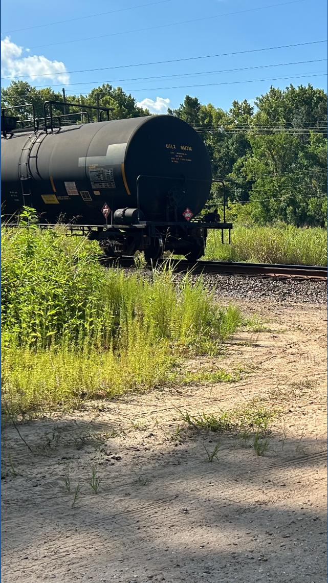 Two killed in train collision in Honey Island | 12newsnow.com