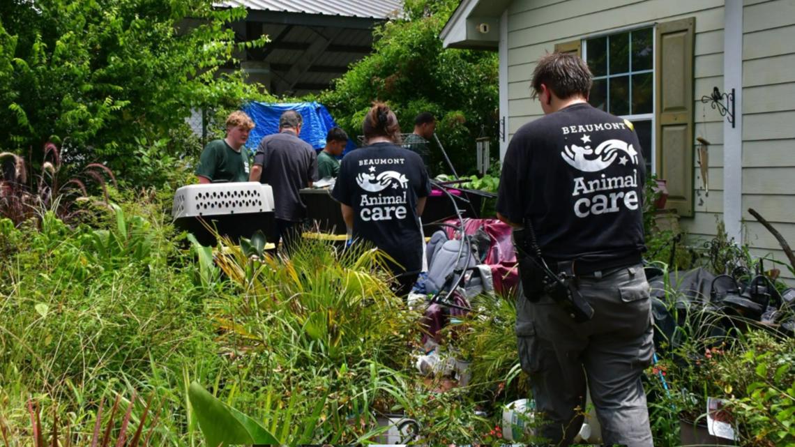Beaumont Animal Care takes in 42 animals from single property ...