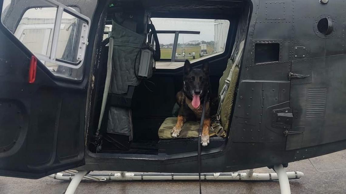 Jefferson County sheriff holds tactical tracking, K9 training ...