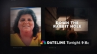 Dateline Tonight: "Down the Rabbit Hole" | 12newsnow.com