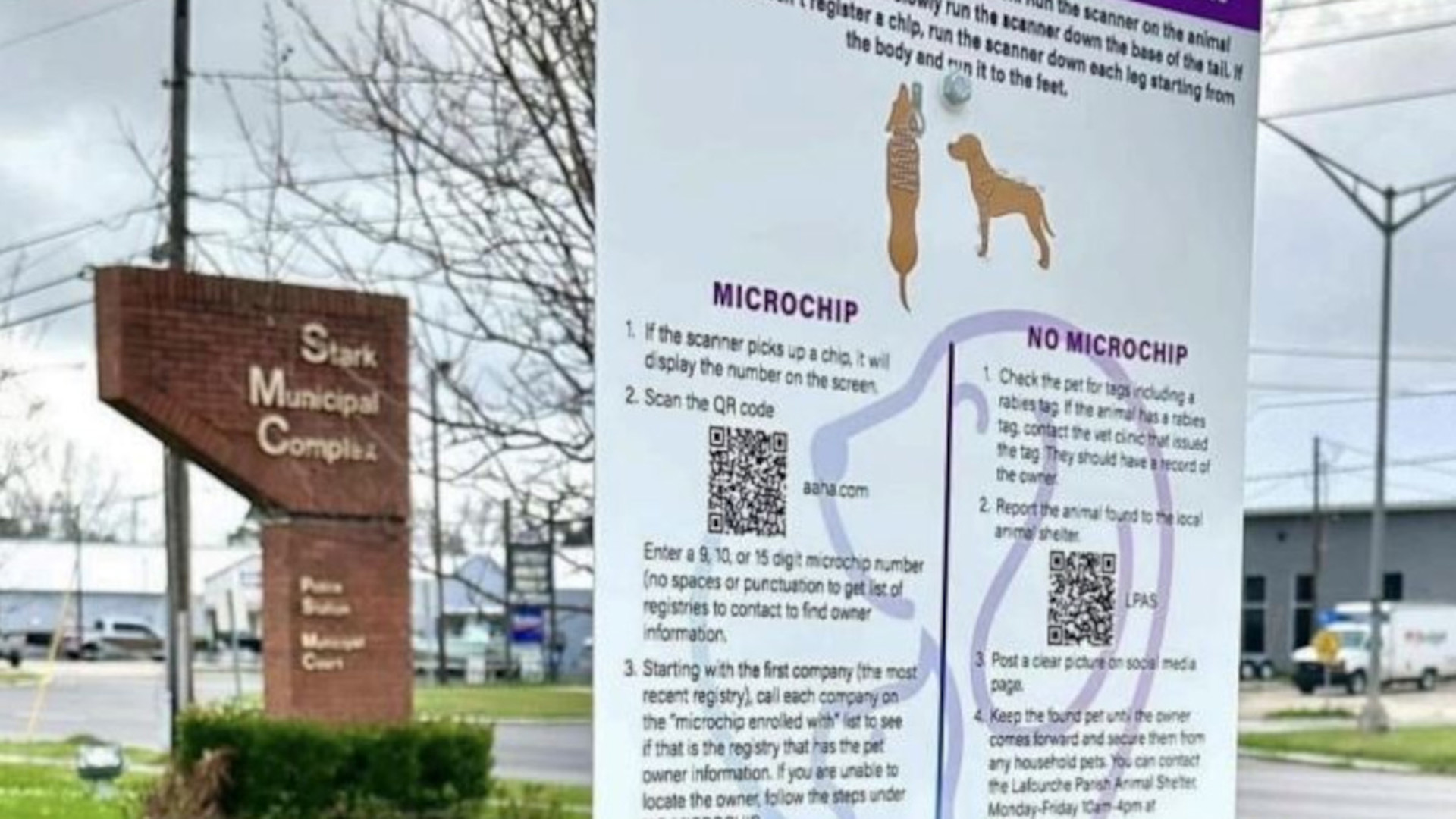 Scout's proposal could help Beaumont reunite lost pets faster ...