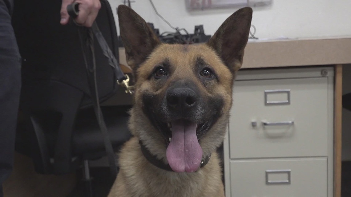 Lumberton Police Department K-9 Ranger ready for duty | 12newsnow.com