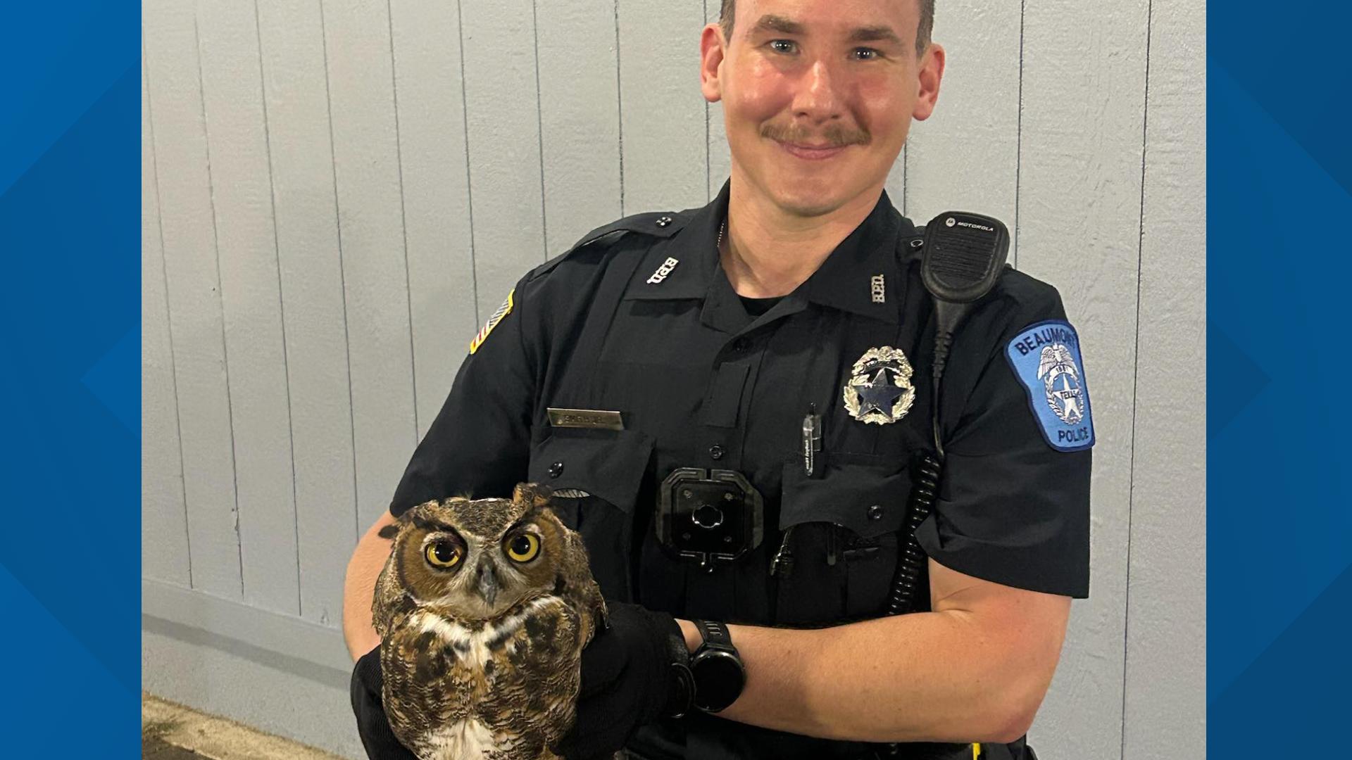 Beaumont officer rescues injured owl while on patrol | 12newsnow.com