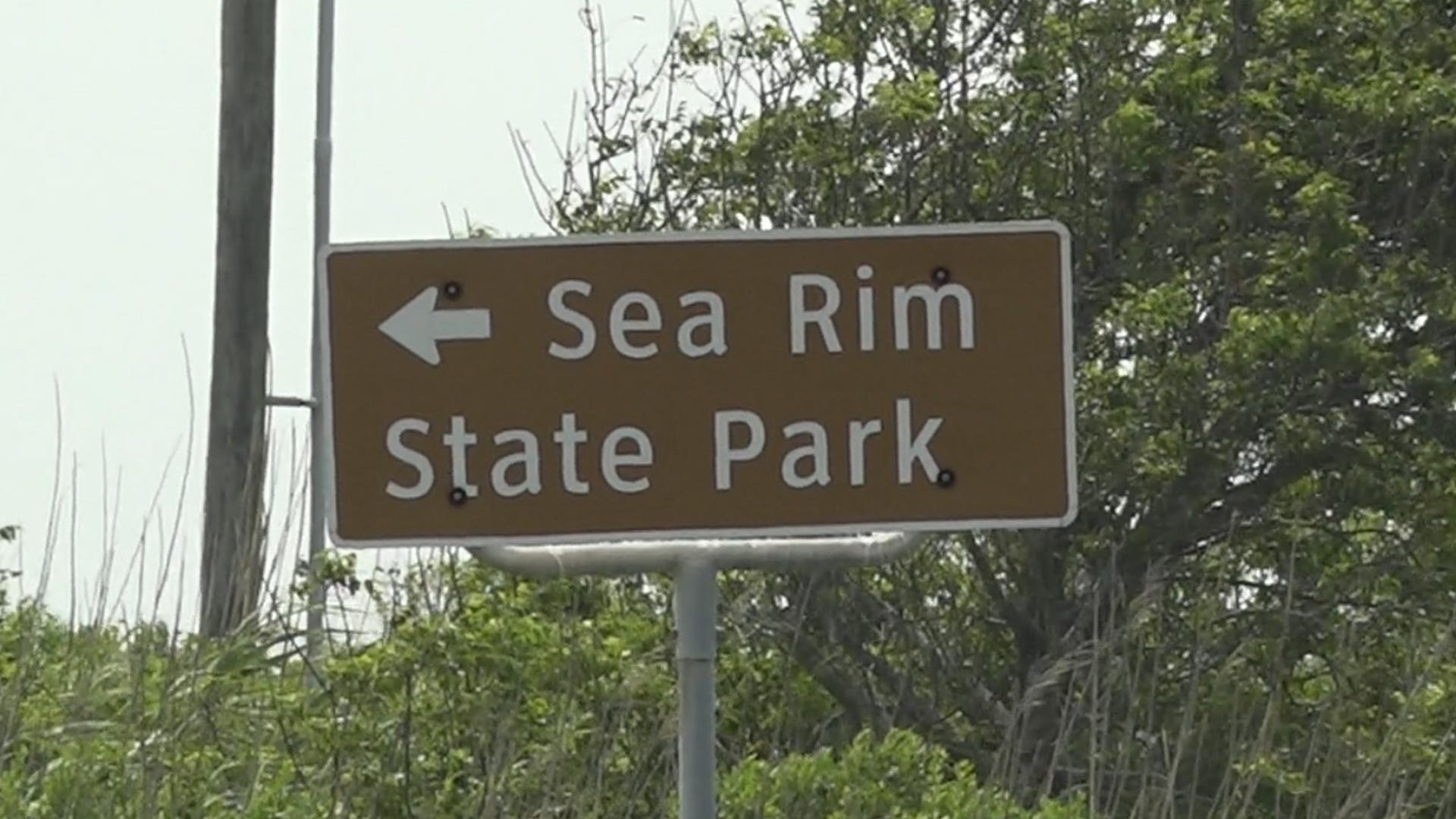 Single-engine plane crash reported near Sea Rim State Park | 12newsnow.com