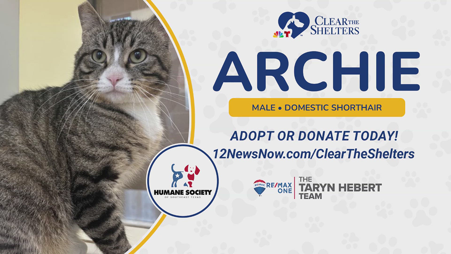 Join Year 11 of Clear The Shelters in August 2025 | 12newsnow.com