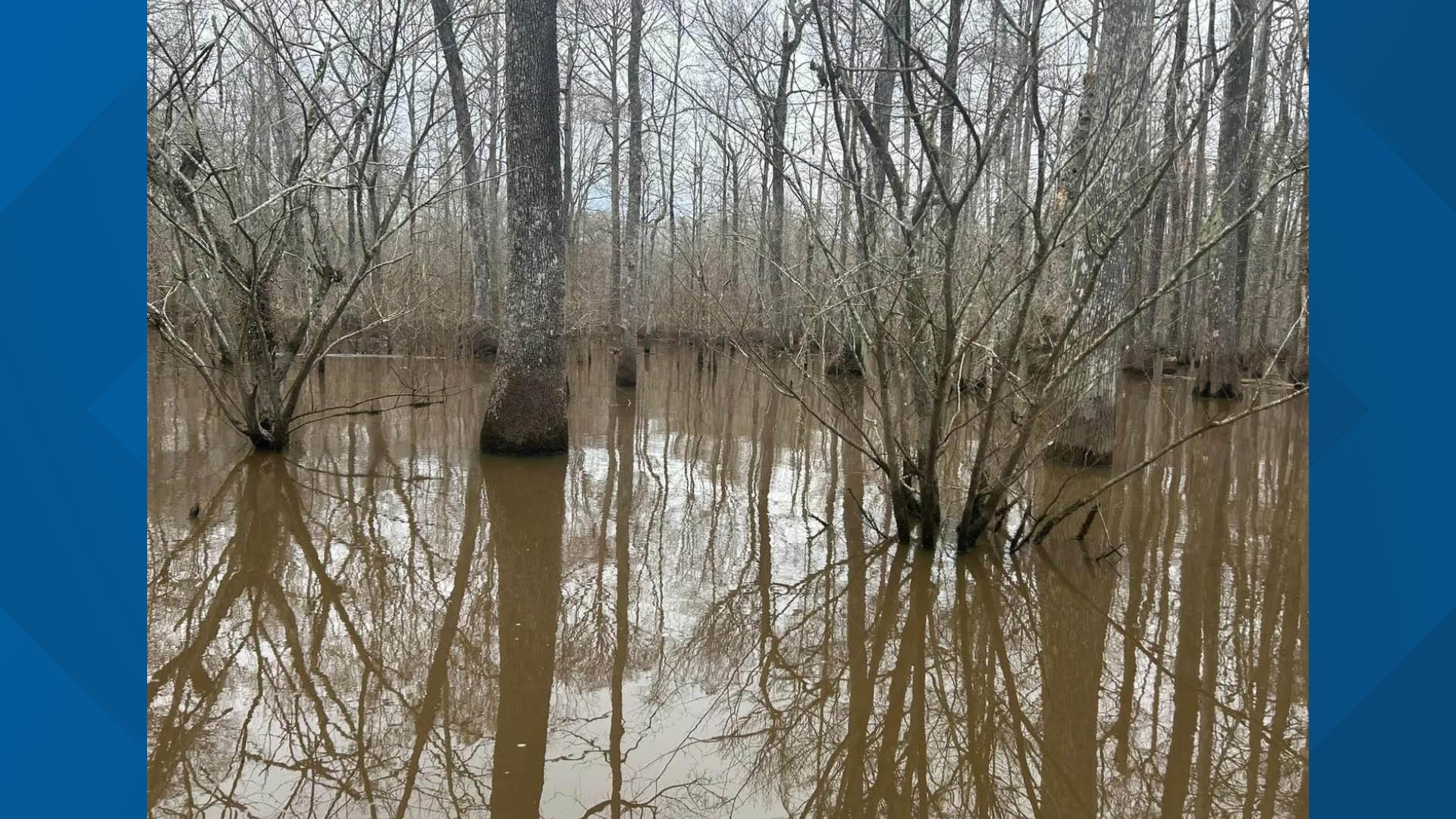 Body of Steven Morgan recovered after days of search on Neches River ...