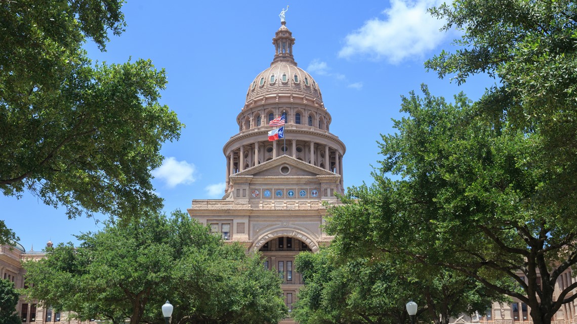 Texas propositions for Nov. 4 election: What they say and what they ...