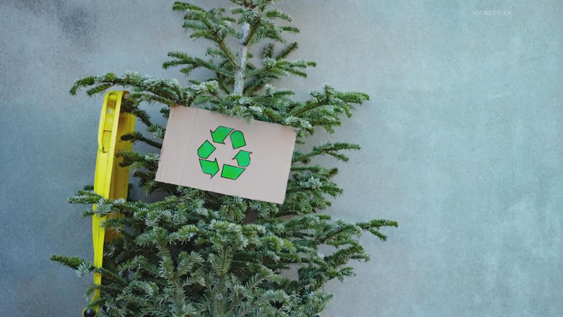 Recycling your Christmas tree? Here's where you can do it | 12newsnow.com