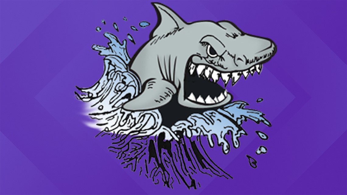 Sabine Pass High School cancels remainder of 2018 football season ...