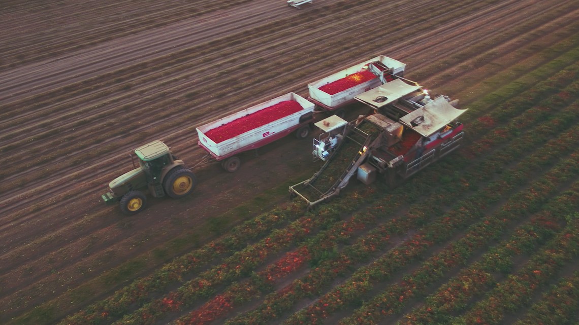 Why modern machines are key to harvesting California food 12newsnow