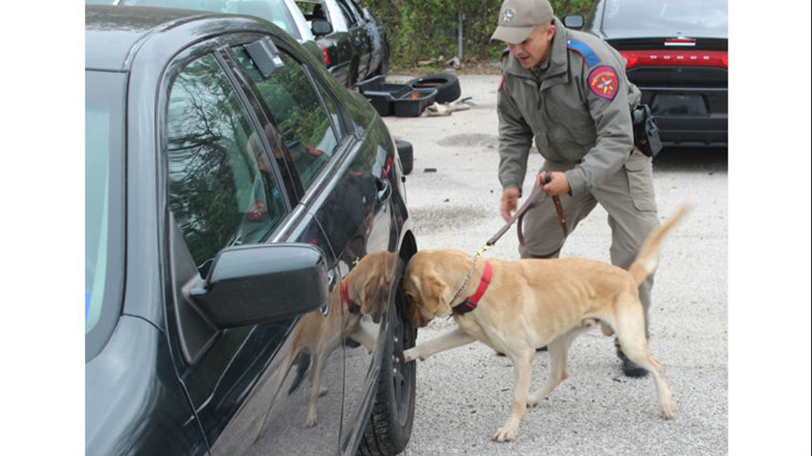 Five new canines trained to detect drugs, explosives join Texas ...