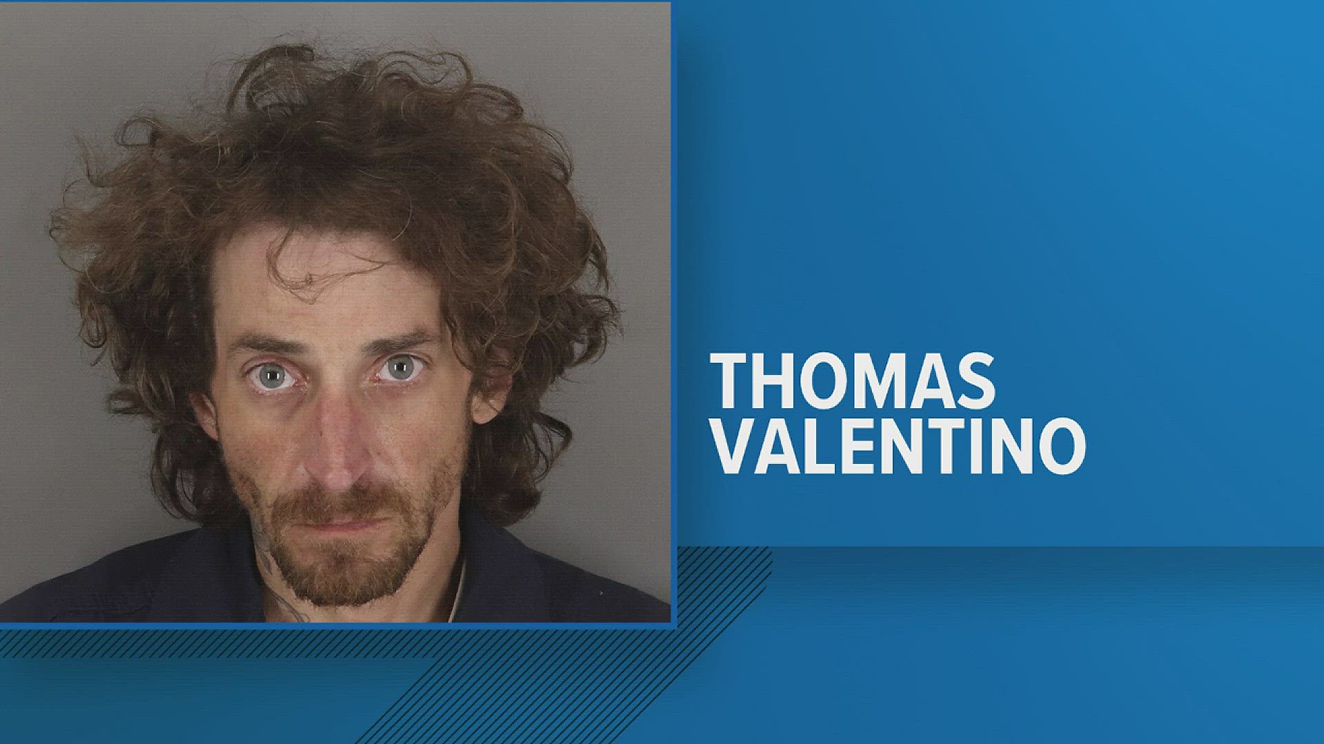 Nederland Police arrest two men who were reportedly caught stealing ...