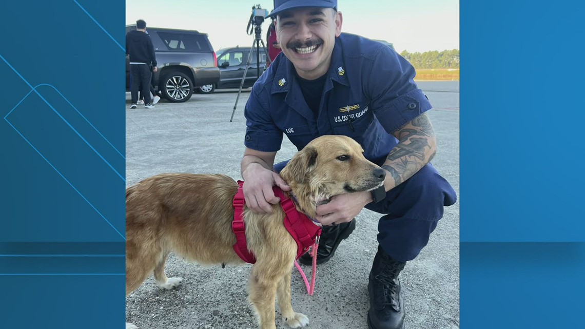 Silsbee man helps rescue dog from shipping container | 12newsnow.com