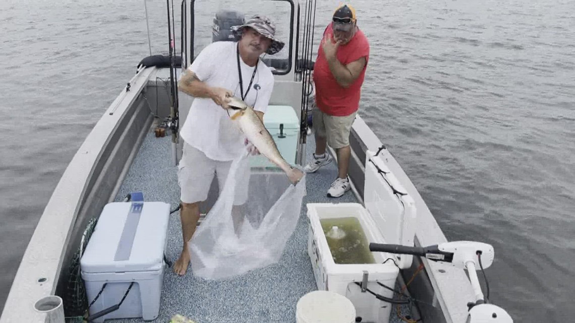 Beaumont Children's Museum raised almost $500K for STEAM education with ...