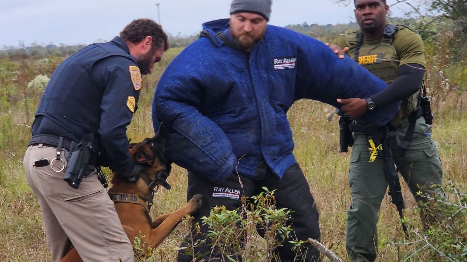Jefferson County sheriff holds tactical tracking, K9 training ...