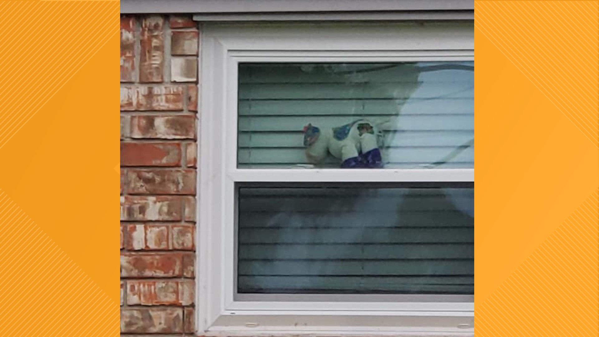 Viral bear hunts take over local neighborhoods | 12newsnow.com