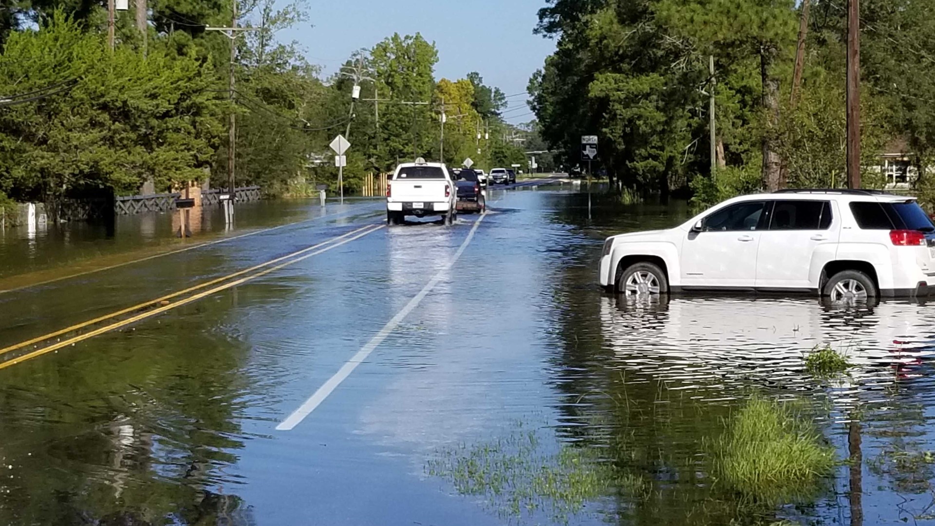 Rogue gators, tetanus outbreak spark Imelda social media rumors ...