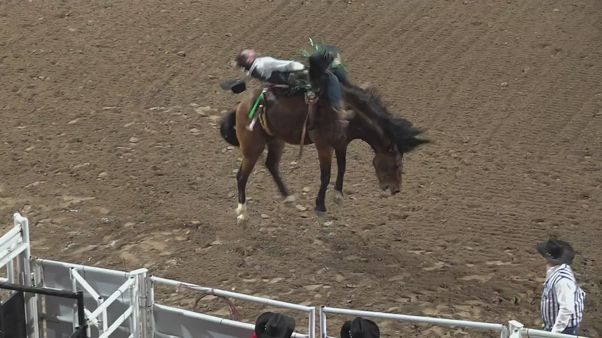 'A staple in SETX': The 2023 YMBL Rodeo kicked off Friday evening with ...
